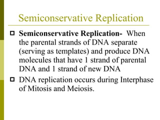 Chapter 12.2 dna replication | PPT