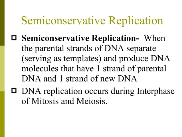 Chapter 12.2 dna replication | PPT