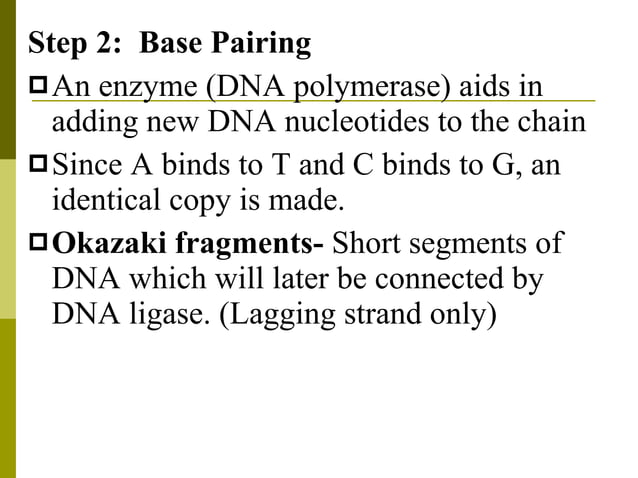 Chapter 12.2 dna replication | PPT