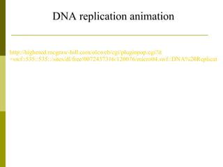 Dna Structure Animation Mcgraw Hill