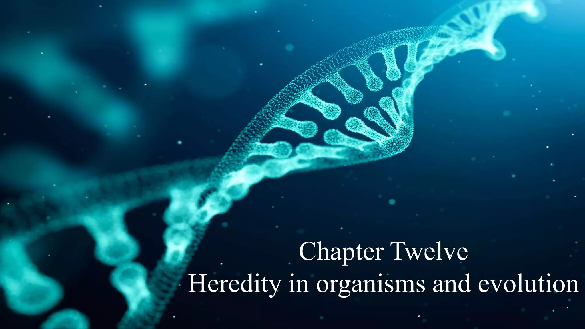 Heredity and Evolution | PPTX | Biological Sciences | Science