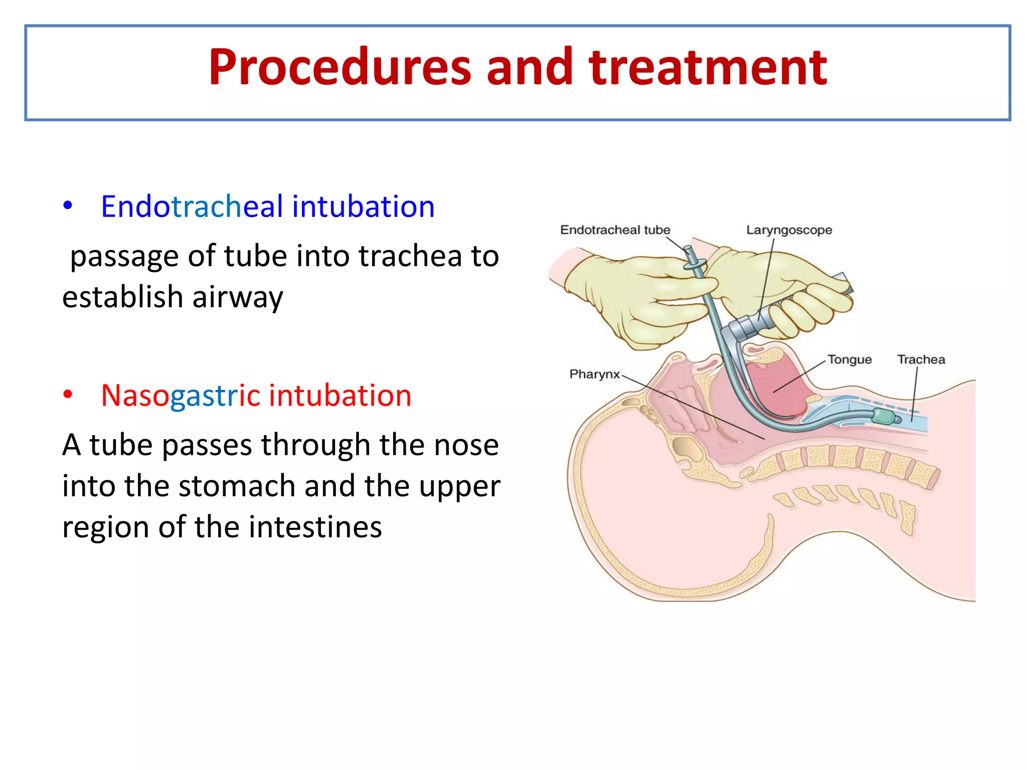 Chapter 12. Respiratory System.pdf