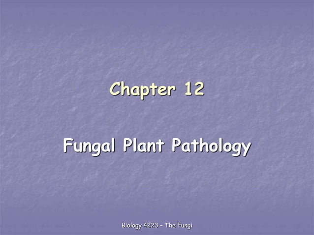 Chapter 12.ppt