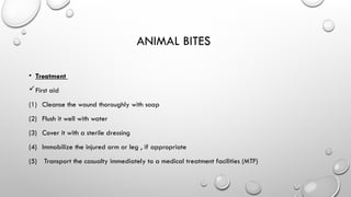Chapter 12.first aid bites and stings.pptx