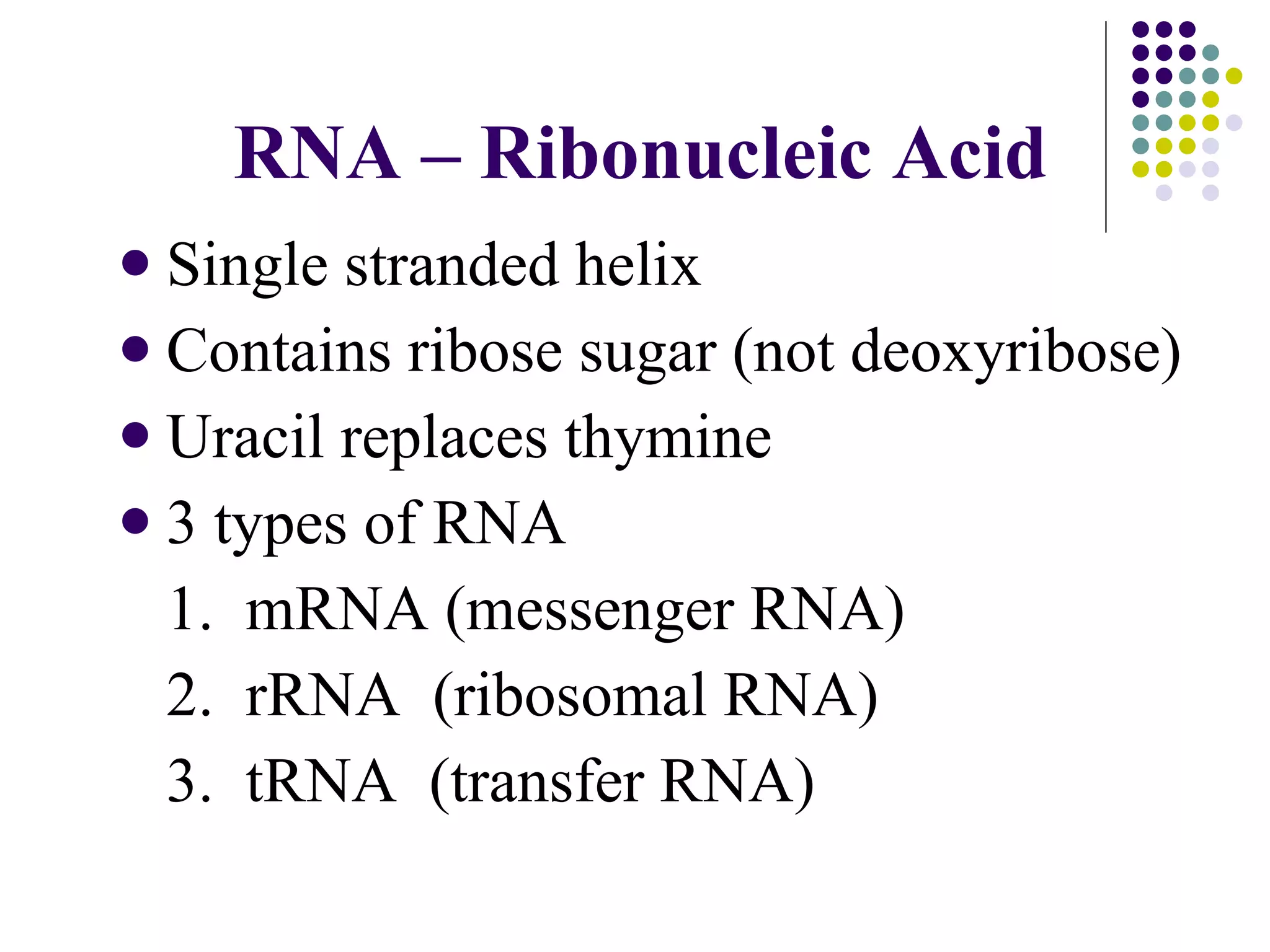 Chapter 12.3 dna,rna and protein | PPT