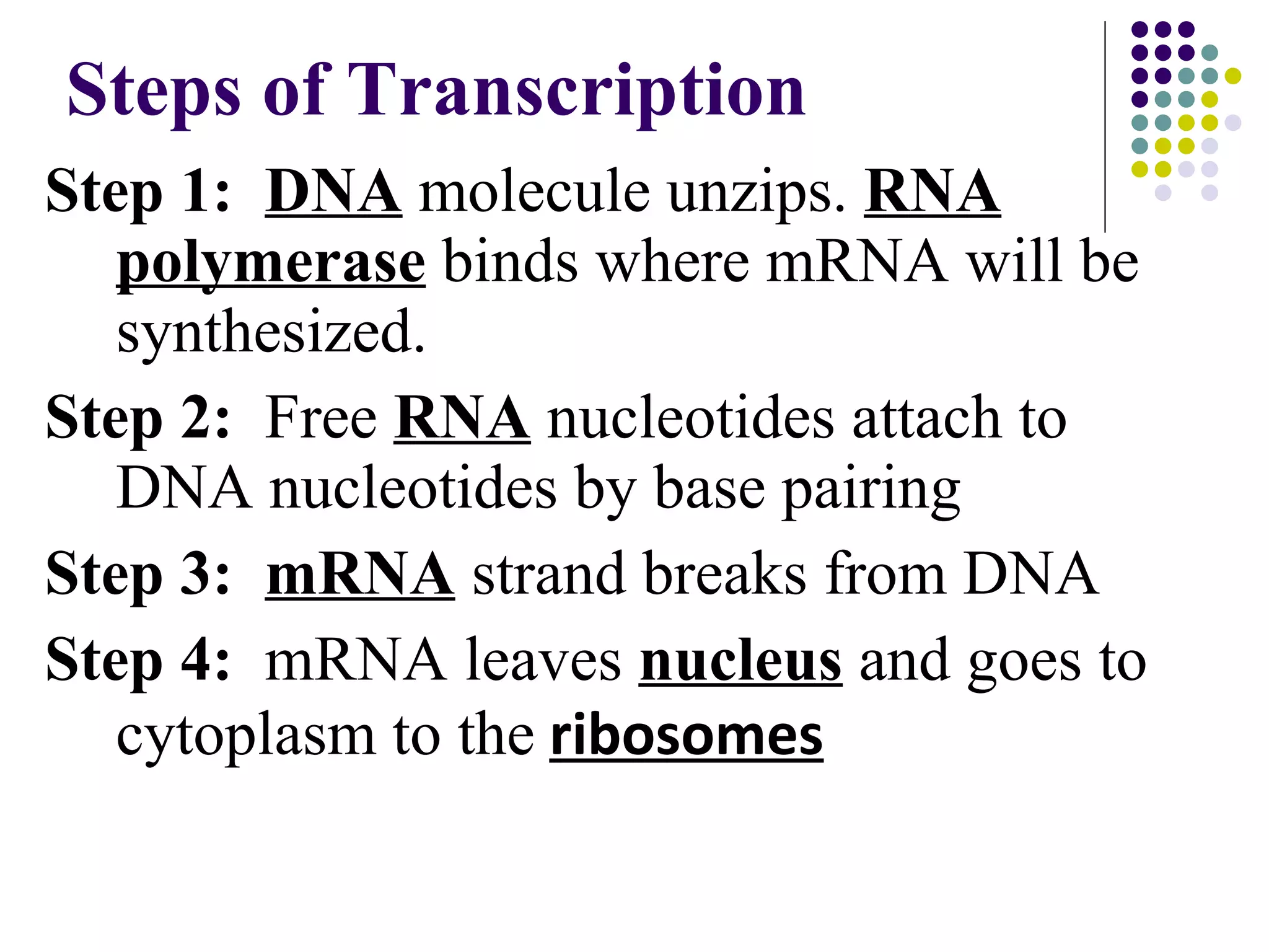 Chapter 12.3 dna,rna and protein | PPT