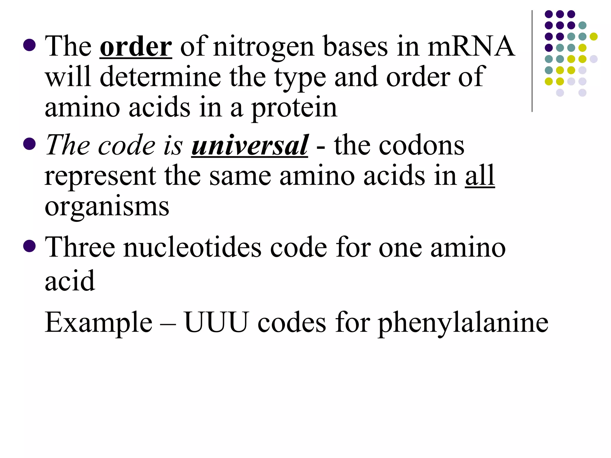 Chapter 12.3 dna,rna and protein | PPT