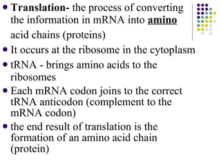 Chapter 12.3 dna,rna and protein | PPT