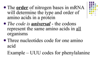 Chapter 12.3 dna,rna and protein | PPT