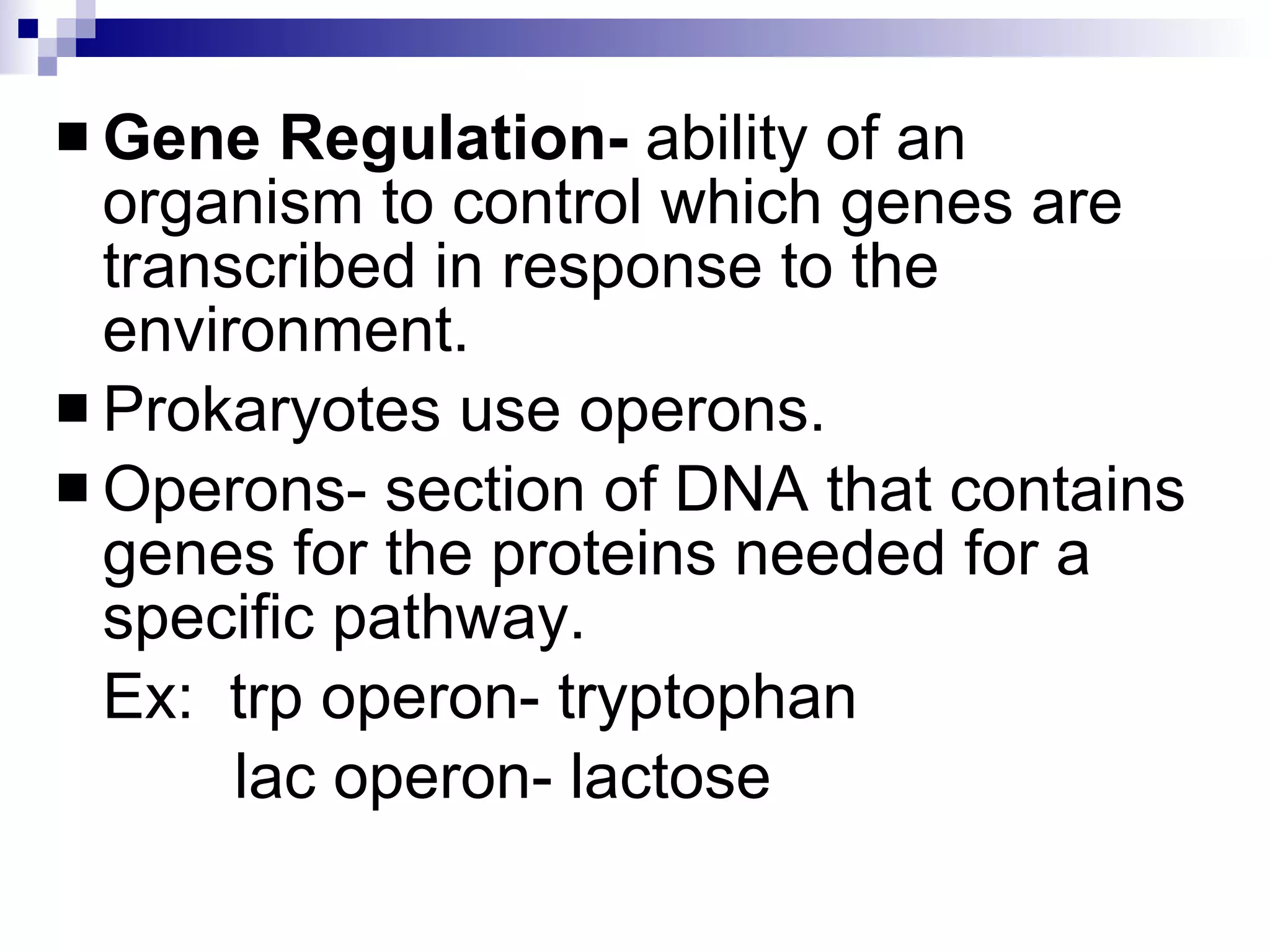 Chapter 12.4 gene regulation & mutation | PPT