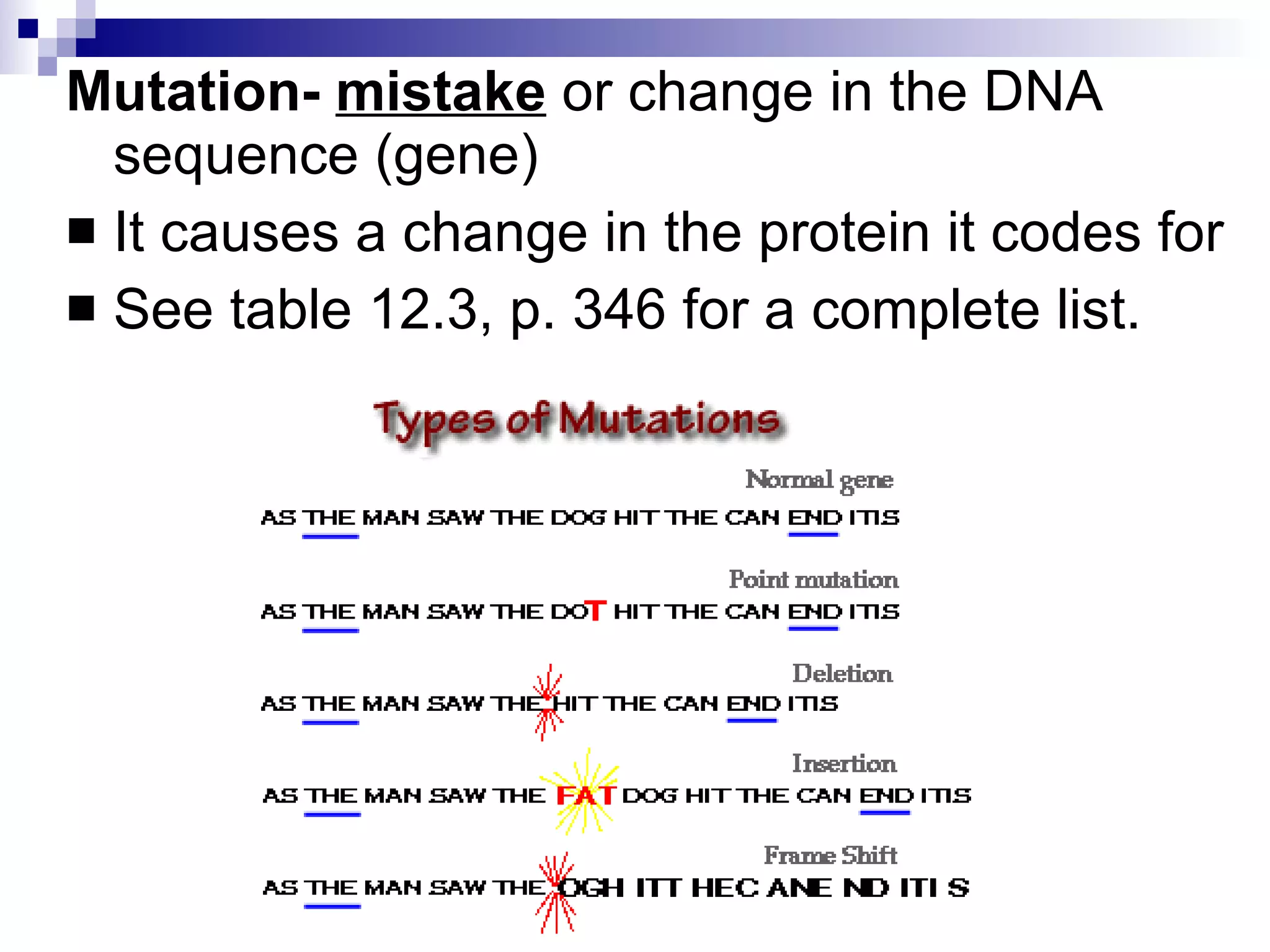 Chapter 12.4 gene regulation & mutation | PPT