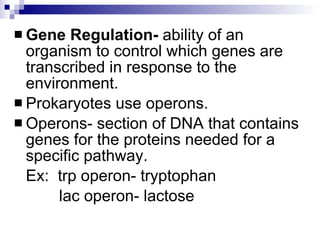 Chapter 12.4 gene regulation & mutation | PPT
