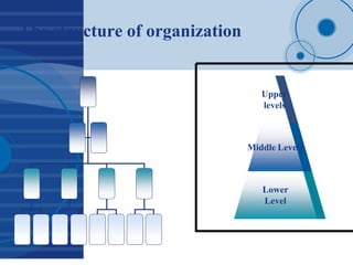 Organizational Charts & Manuals | PPTX