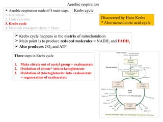 CHAPTER 12- ENERGY AND RESPIRATION .pptx