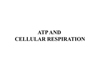 CHAPTER 12- ENERGY AND RESPIRATION .pptx
