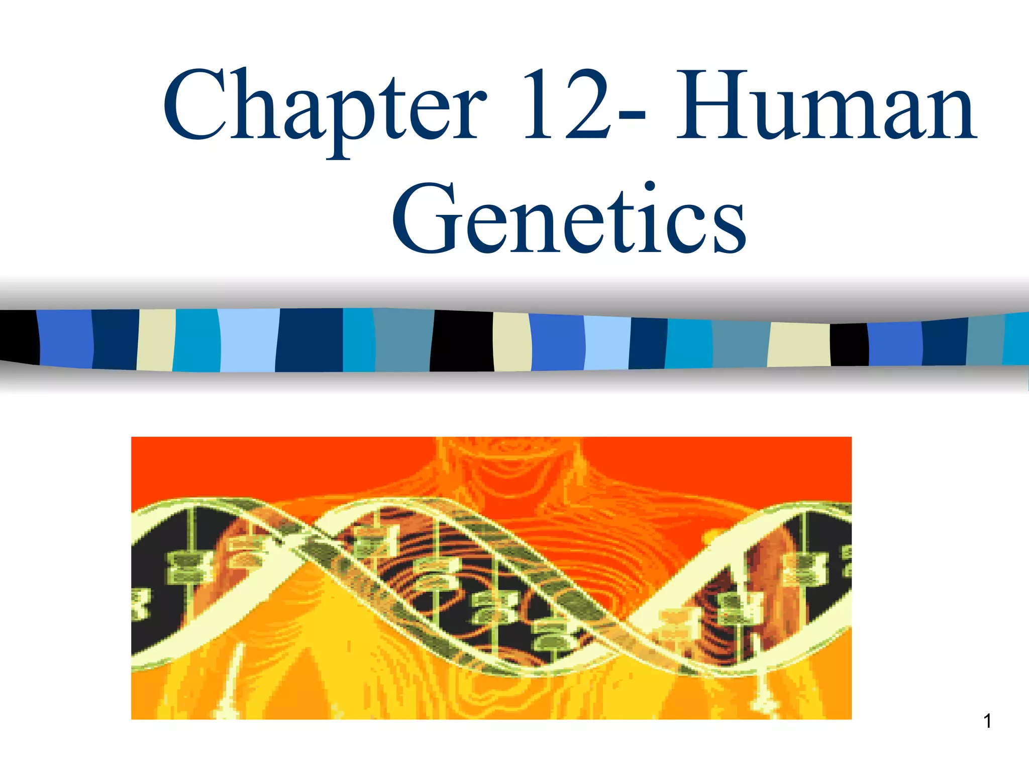 Chapter 12 human genetics | PPT