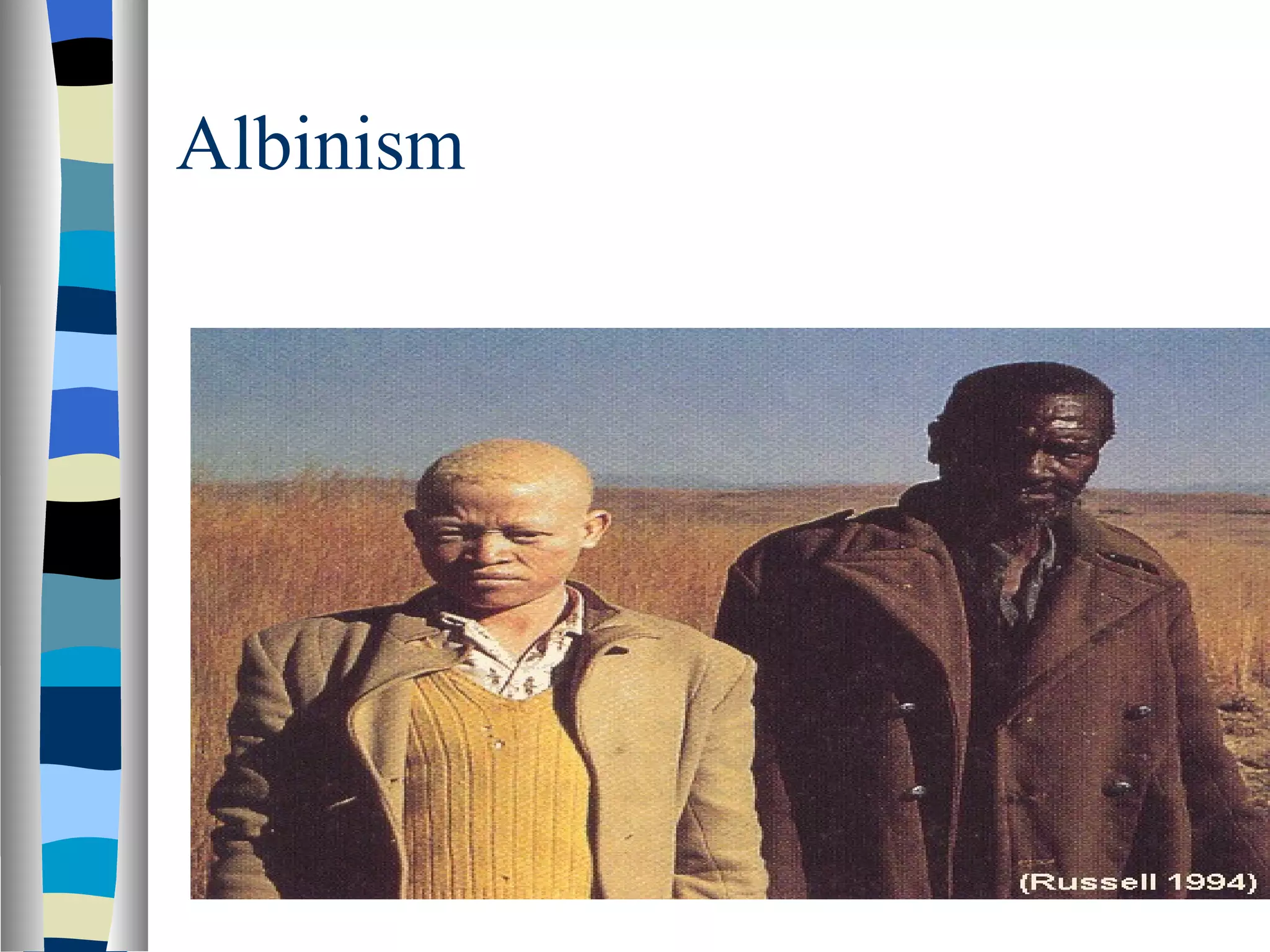 Chapter 12 human genetics | PPT