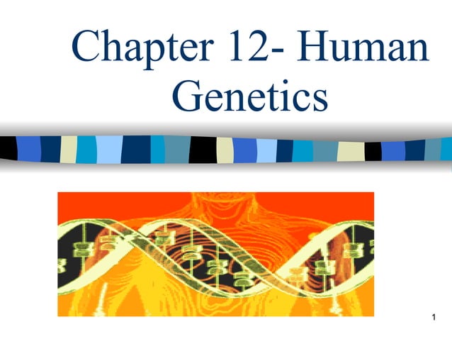 Chapter 12 human genetics | PPT | Blood Disorders | Diseases and Conditions