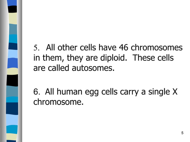 Chapter 12 human genetics | PPT | Blood Disorders | Diseases and Conditions