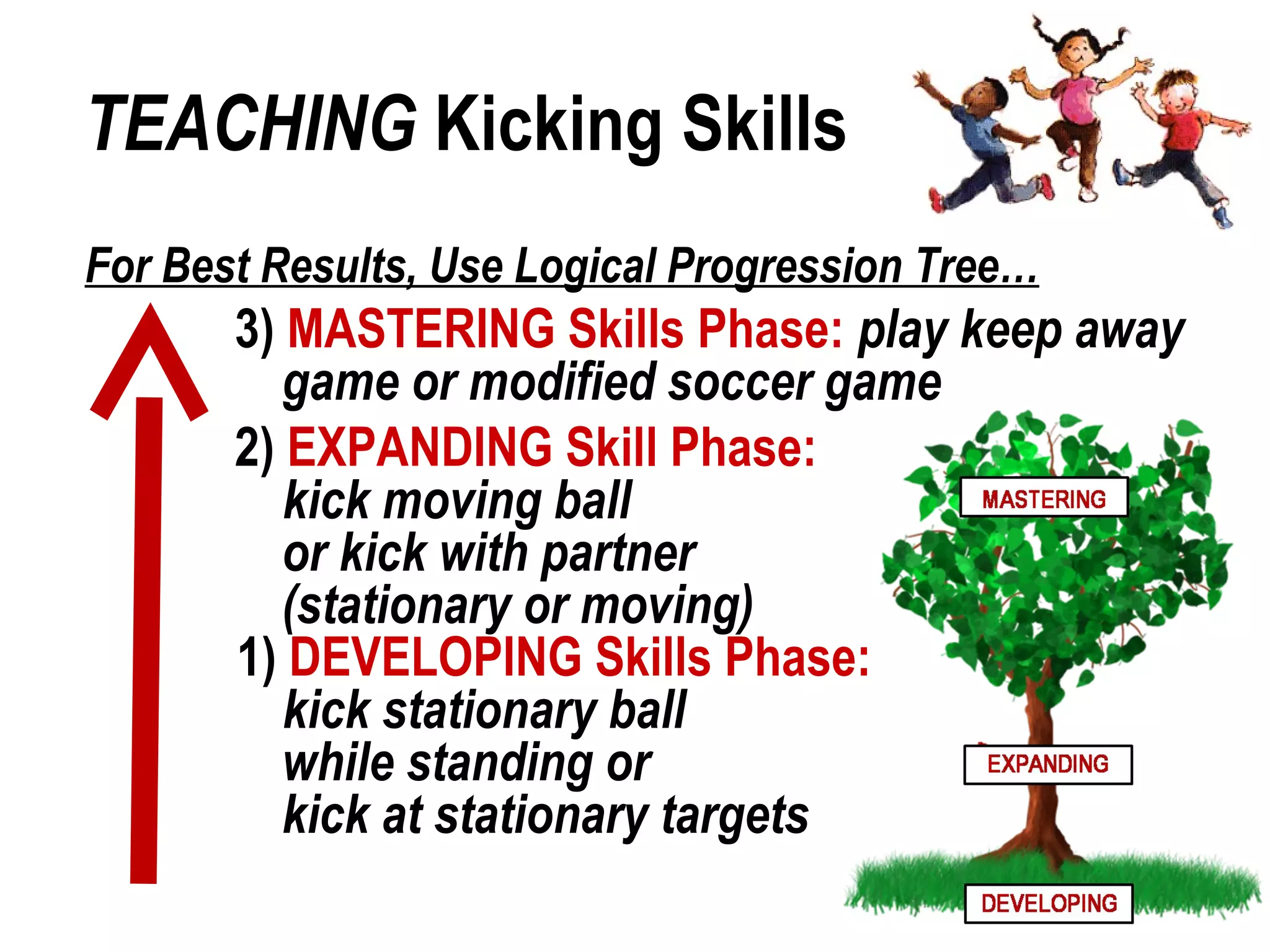 Chapter 12 manipulative skills | PPT