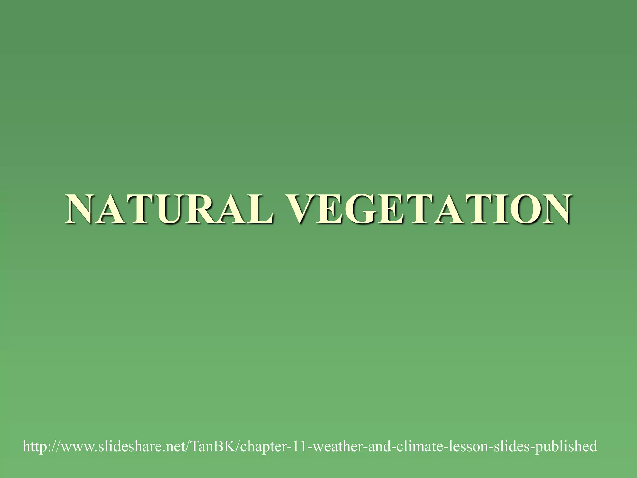 Chapter 12 Natural Vegetation | PDF