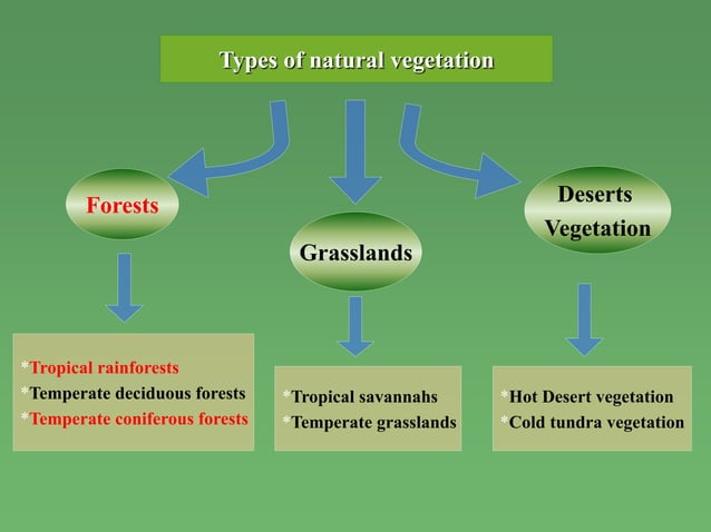 Chapter 12 Natural Vegetation | PDF