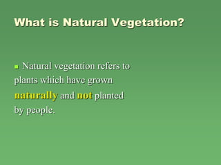 Vegetation Definition