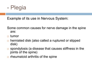 Chapter 12 nervous system | PPTX | Death, Injury, or Military Conflict ...