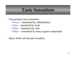 Chapter 12 Nervous System III - Senses | PPT