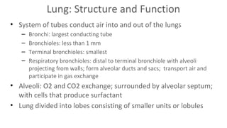 Chapter 12 respiratory-mod (1) | PPT