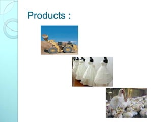 Chapter 12 Setting Product Strategy By Kotler | PPTX