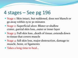 Chapter 12 The Resident’s Unit | PPT