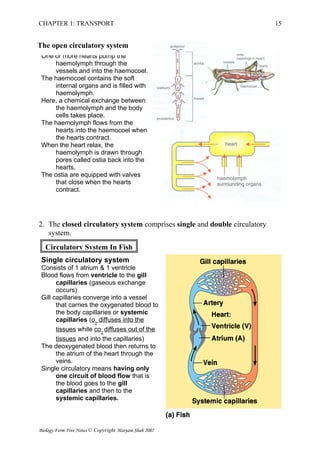 Bbc Bitesize National 5 Biology Transport Systems