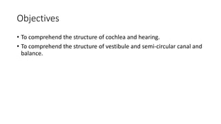 独中高中生物Chapter 12 Part 2 Hearing | PPTX | Ear, Nose and Throat ...