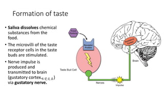 独中高中生物 Chapter 12 Part 3 | PPTX