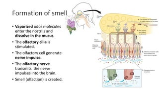 独中高中生物 Chapter 12 Part 3 | PPTX
