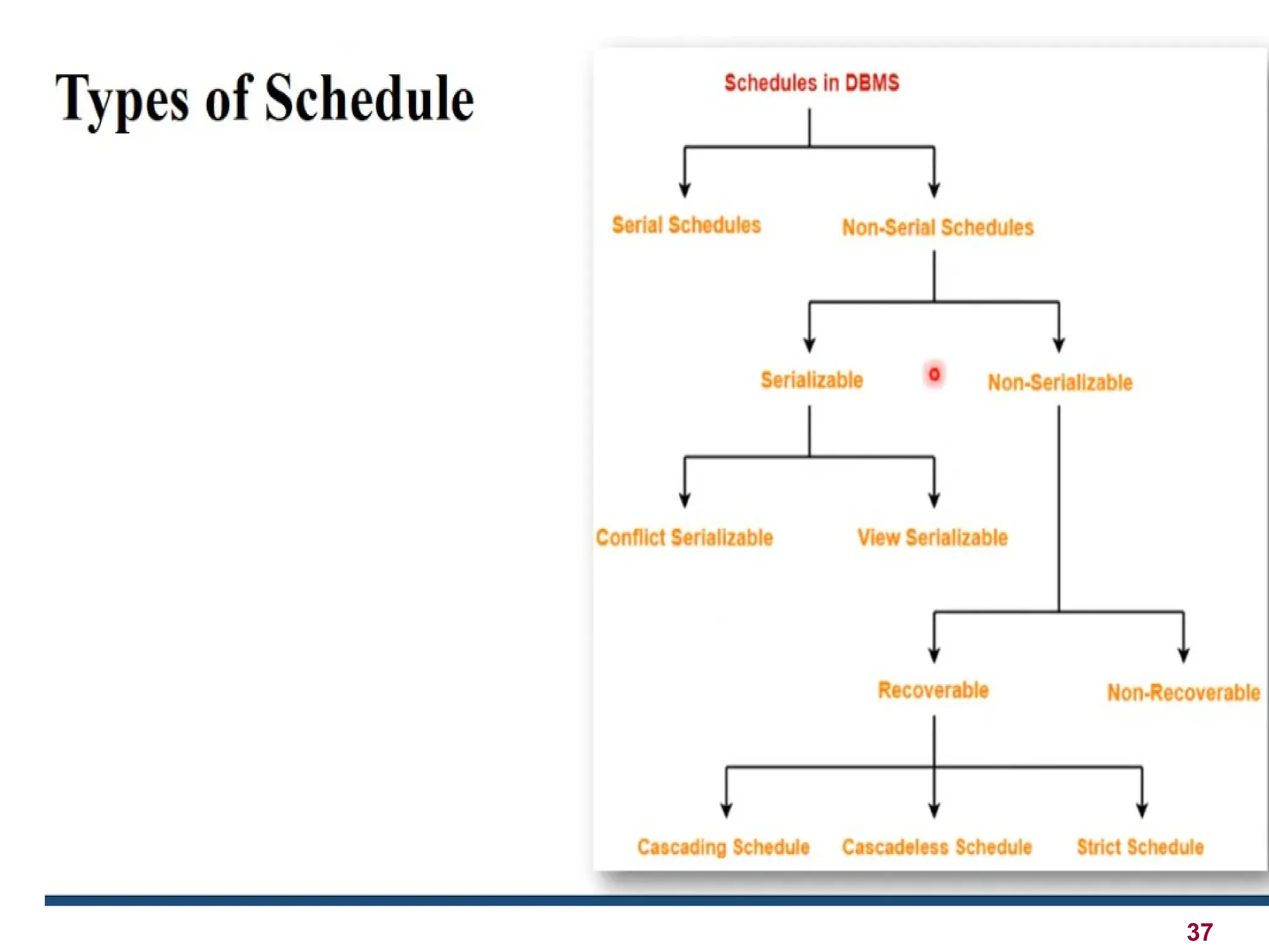 Chapter 123 Transaction Processing And Mgt Pptx