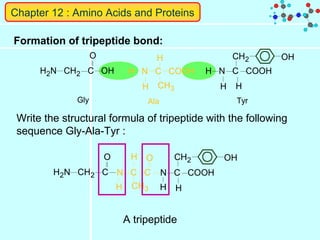 Chapter 12 amino acids and proteins | PPT