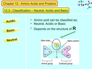 Chapter 12 amino acids and proteins | PPT