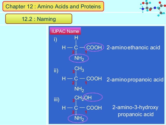 Amino acid iupac nomenclature - horpublications