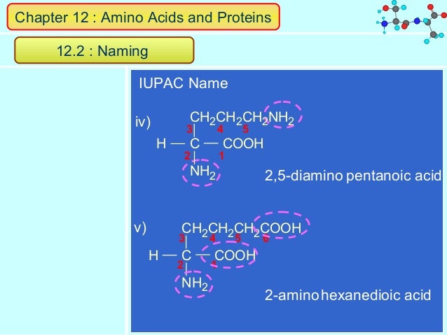 Amino acid iupac nomenclature - etppicture
