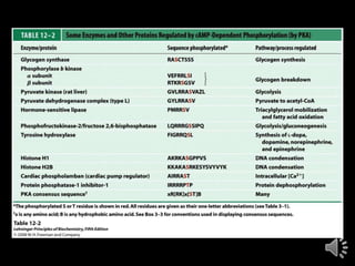 Chapter 12 Cell Signaling Part 2a | PPT