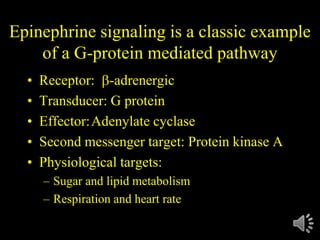 Chapter 12 Cell Signaling Part 2a | PPT