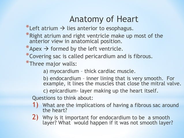 Chapter 12 Circulatory System Study Guide(1).ppt