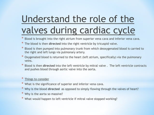 Chapter 12 Circulatory System Study Guide(1).ppt