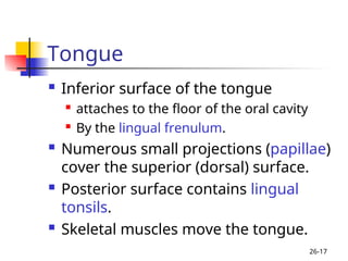 Chapter 12Digestive System (1).pp111111t | PPT