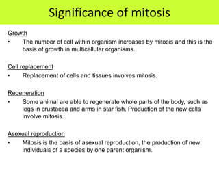 mitosis | PPTX