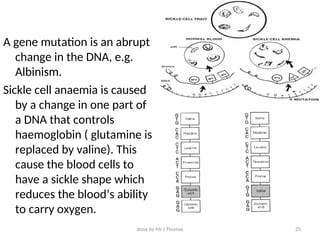 chapter 12 heredity and Variation.ppt ENJOY | PPT