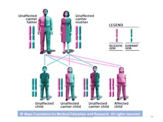 chapter 12 heredity and Variation.ppt ENJOY | PPT
