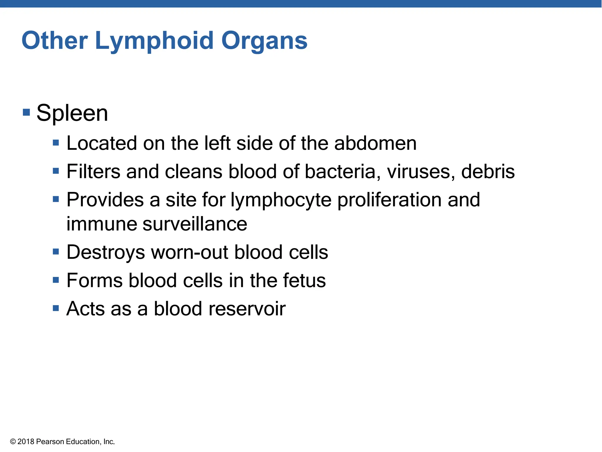 CHAPTER 12 Lymphatic System.pptx 123323423 | PPTX